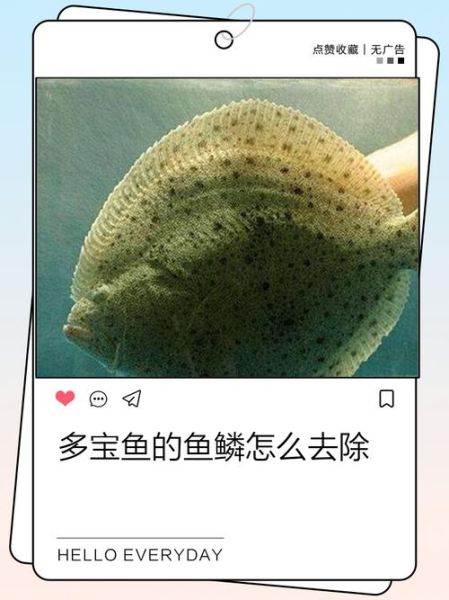 多宝鱼鱼皮怎么撕掉_多宝鱼去皮最简单的方法-第2张图片-山城妙识 多宝鱼鱼皮怎么撕掉_多宝鱼去皮最简单的方法-第2张图片-山城妙识
