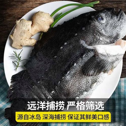 海参石斑鱼价格多少钱一斤_海参石斑鱼价格为什么贵-第1张图片-山城妙识