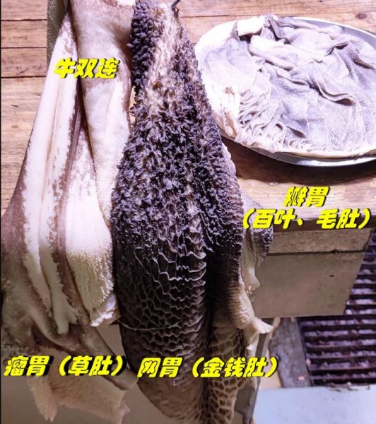 牛百叶是毛肚吗_牛百叶和毛肚的区别-第1张图片-山城妙识 牛百叶是毛肚吗_牛百叶和毛肚的区别-第1张图片-山城妙识