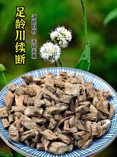 川断别名是什么_川断与续断区别在哪-第1张图片-山城妙识