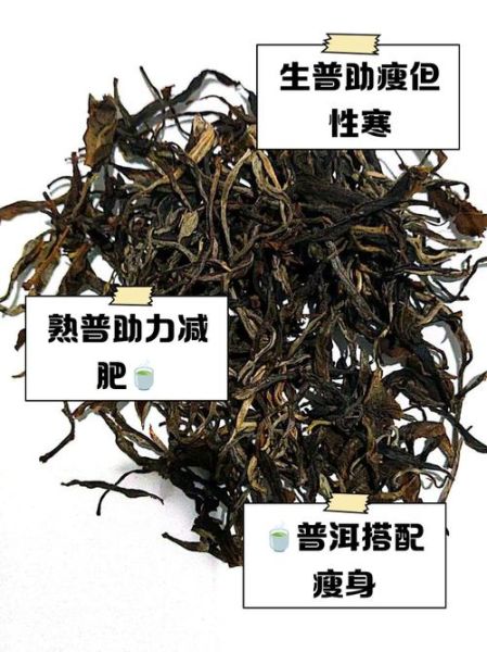 普洱茶减肥生还是熟_哪个效果更好-第1张图片-山城妙识