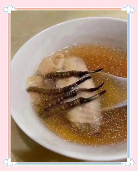 虫草怎么吃最好_虫草最简单的吃法-第2张图片-山城妙识