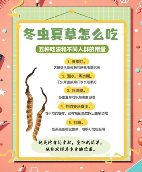 虫草怎么吃最好_虫草最简单的吃法-第1张图片-山城妙识