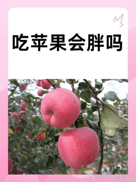 苹果热量高吗_苹果吃了会胖吗-第1张图片-山城妙识 苹果热量高吗_苹果吃了会胖吗-第1张图片-山城妙识