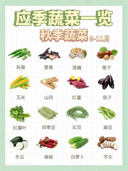 秋天的蔬菜有哪些_秋天时令蔬菜图片大全-第1张图片-山城妙识
