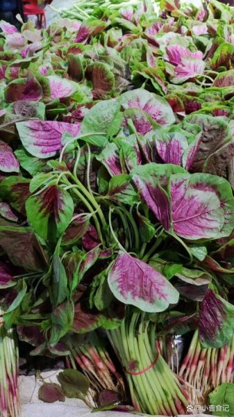 秋天的蔬菜有哪些_秋天时令蔬菜图片大全-第3张图片-山城妙识