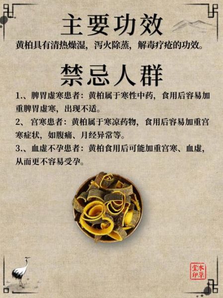 黄柏的功效与作用禁忌_哪些人不能吃-第1张图片-山城妙识