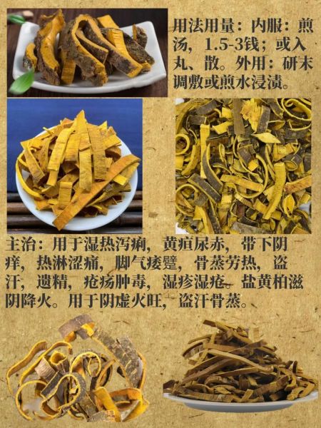 黄柏的功效与作用禁忌_哪些人不能吃-第3张图片-山城妙识