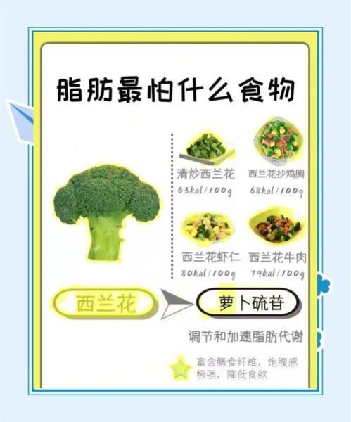 哪些蔬菜减肥效果最好_怎么吃才能越吃越瘦-第2张图片-山城妙识 哪些蔬菜减肥效果最好_怎么吃才能越吃越瘦-第2张图片-山城妙识