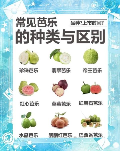 西瓜芭乐的功效与作用_西瓜芭乐能减肥吗-第3张图片-山城妙识