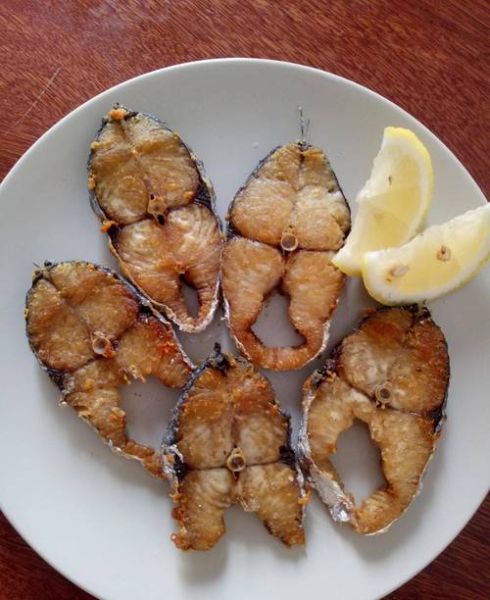 香煎乌头鱼怎么煎不腥_乌头鱼煎之前要不要腌制-第1张图片-山城妙识