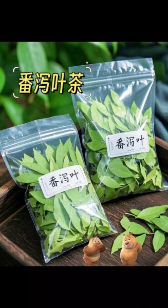 番泻叶什么时候喝_番泻叶空腹还是饭后-第3张图片-山城妙识