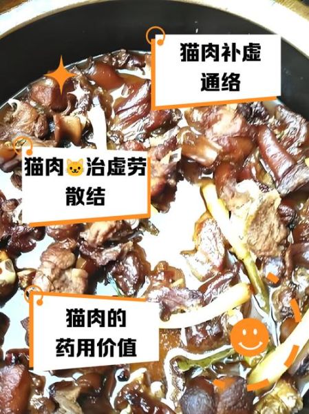 猫肉炖汤怎么做才好吃_猫肉炖汤去腥技巧-第1张图片-山城妙识 猫肉炖汤怎么做才好吃_猫肉炖汤去腥技巧-第1张图片-山城妙识
