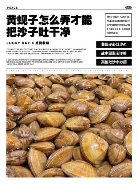 黄蚬子怎么吐沙干净_黄蚬子吐沙最快的方法-第1张图片-山城妙识