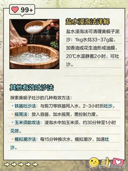 黄蚬子怎么吐沙干净_黄蚬子吐沙最快的方法-第2张图片-山城妙识