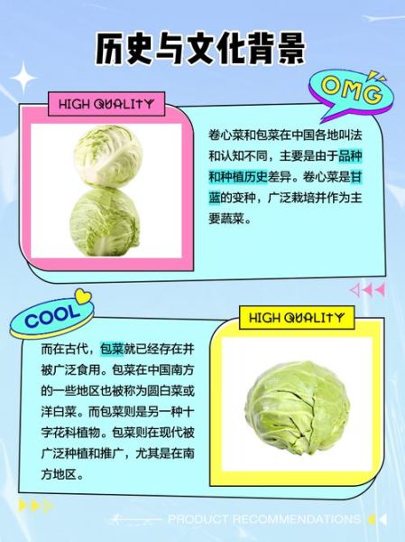 圆白菜和包菜的区别图片_哪个更营养-第1张图片-山城妙识