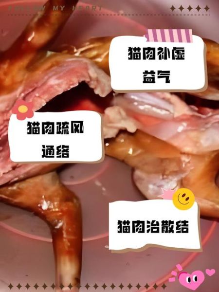 猫肉的功效与作用_猫肉能不能吃-第3张图片-山城妙识
