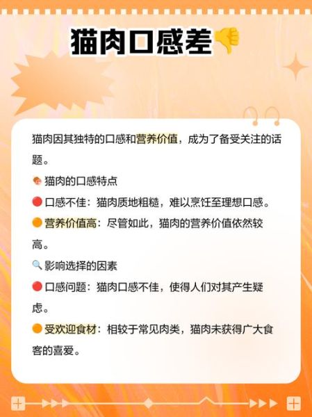 猫肉的功效与作用_猫肉能不能吃-第1张图片-山城妙识