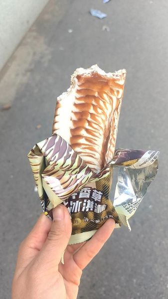 香草冰淇淋的香草是哪种香草_如何辨别真假香草籽-第2张图片-山城妙识 香草冰淇淋的香草是哪种香草_如何辨别真假香草籽-第2张图片-山城妙识