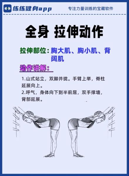 比目鱼肌在哪_比目鱼肌怎么拉伸-第3张图片-山城妙识