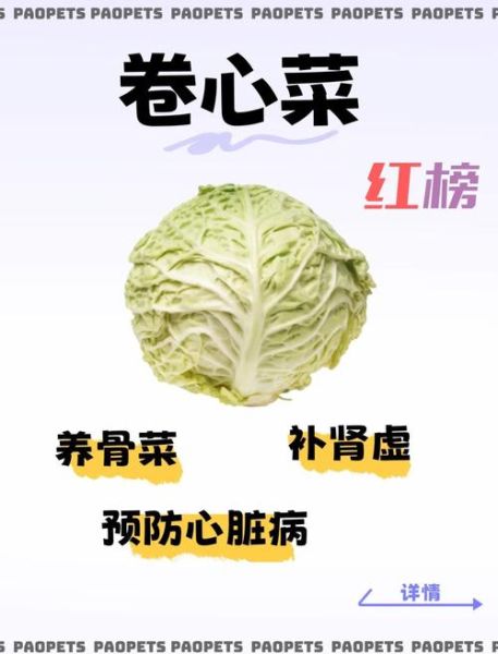 卷心菜是什么梗_卷心菜梗怎么来的-第2张图片-山城妙识