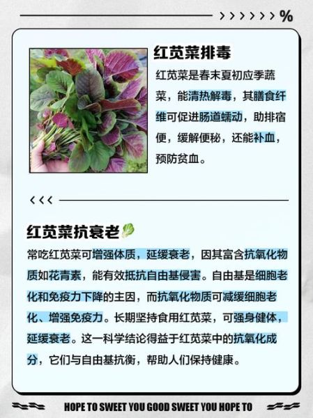 红叶苋菜怎么做好吃_红叶苋菜的营养价值-第3张图片-山城妙识 红叶苋菜怎么做好吃_红叶苋菜的营养价值-第3张图片-山城妙识