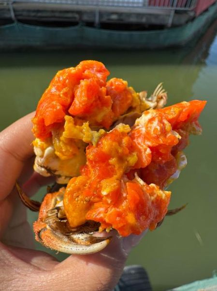 阳澄湖大闸蟹产地在哪里_正宗阳澄湖大闸蟹怎么辨别-第1张图片-山城妙识