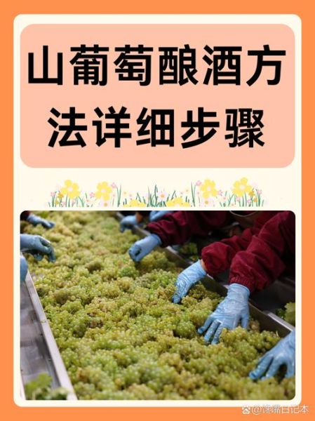 野生葡萄酒的制作方法_野生葡萄酿酒步骤-第1张图片-山城妙识