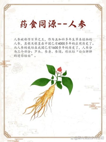 吃人参的八大禁忌_人参不能和什么一起吃-第2张图片-山城妙识 吃人参的八大禁忌_人参不能和什么一起吃-第2张图片-山城妙识