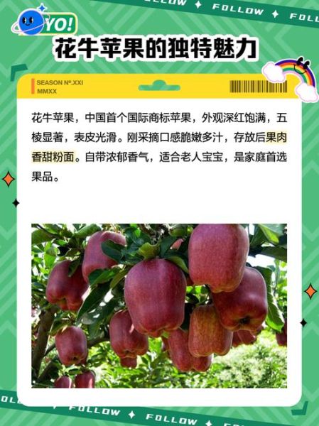 花牛苹果的营养价值_花牛苹果的功效与作用-第3张图片-山城妙识 花牛苹果的营养价值_花牛苹果的功效与作用-第3张图片-山城妙识