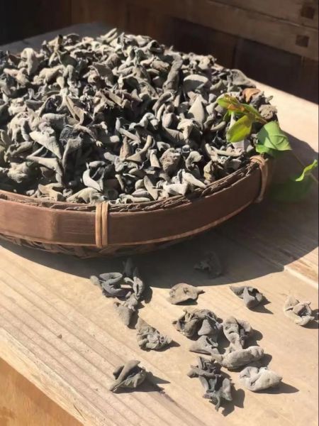 吃多久木耳才能通血管_木耳通血管的正确吃法-第3张图片-山城妙识