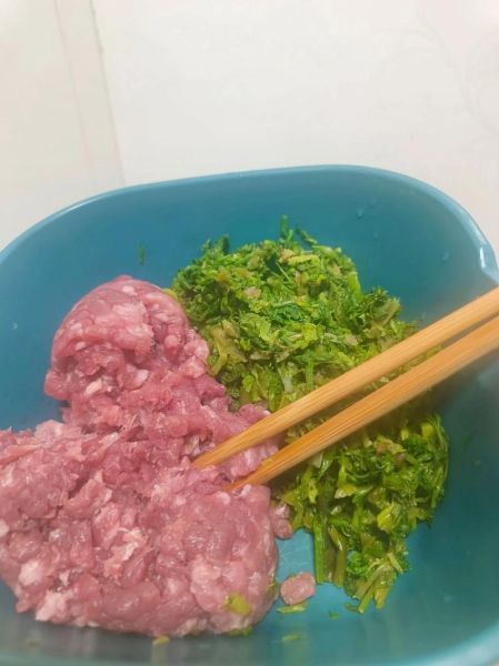 野生水芹菜包子怎么做_水芹菜包子馅怎么调-第3张图片-山城妙识 野生水芹菜包子怎么做_水芹菜包子馅怎么调-第3张图片-山城妙识