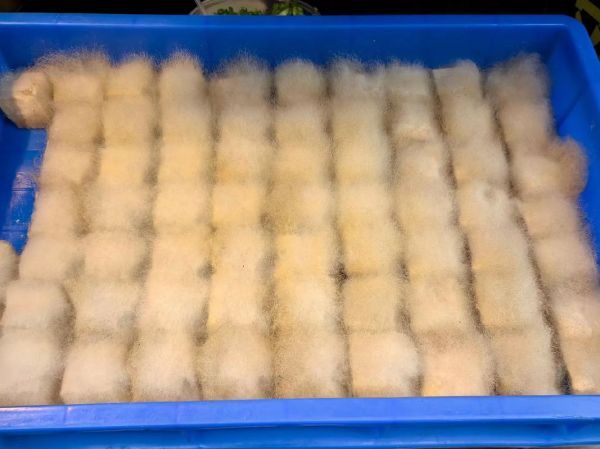 徽州毛豆腐怎么烧好吃_正宗徽州毛豆腐做法-第1张图片-山城妙识