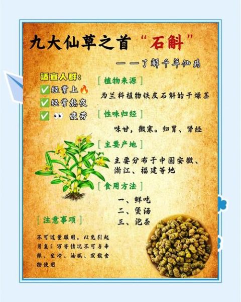 石斛怎么读_石斛的功效与作用-第3张图片-山城妙识