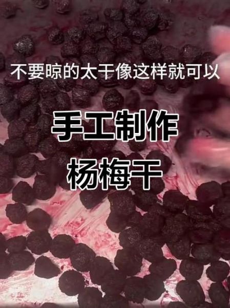 杨梅干怎么做_家庭自制杨梅干步骤-第2张图片-山城妙识