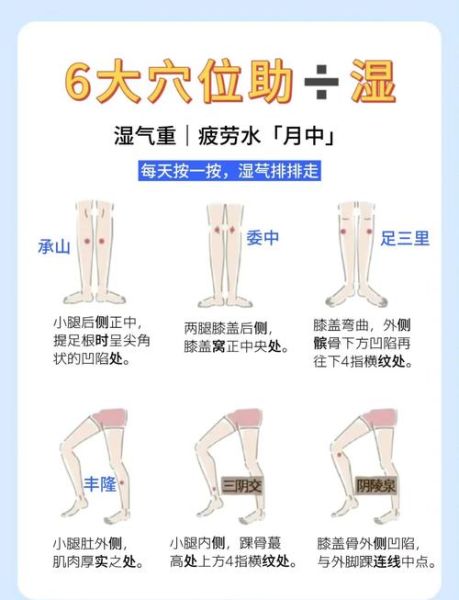 去湿气最好的穴位有哪些_怎么按才有效-第2张图片-山城妙识 去湿气最好的穴位有哪些_怎么按才有效-第2张图片-山城妙识