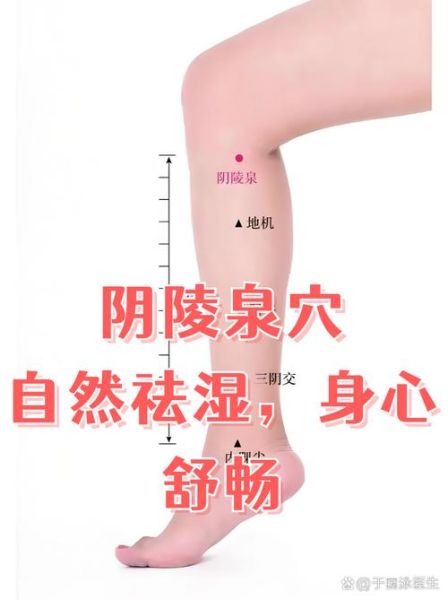 去湿气最好的穴位有哪些_怎么按才有效-第1张图片-山城妙识 去湿气最好的穴位有哪些_怎么按才有效-第1张图片-山城妙识