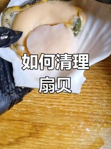 扇贝怎么清洗干净_扇贝清洗视频教程-第3张图片-山城妙识 扇贝怎么清洗干净_扇贝清洗视频教程-第3张图片-山城妙识