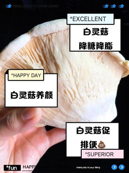 鲍汁白灵菇怎么做_鲍汁白灵菇营养价值-第3张图片-山城妙识 鲍汁白灵菇怎么做_鲍汁白灵菇营养价值-第3张图片-山城妙识