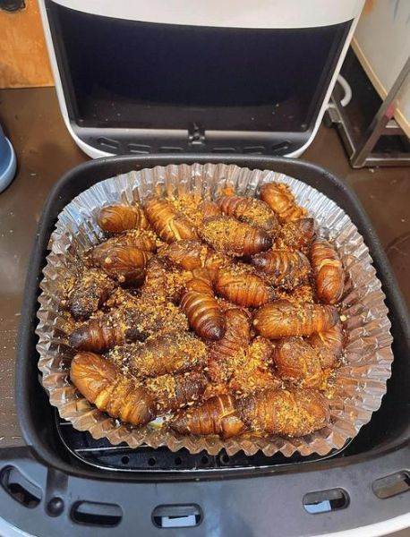 干煸蚕蛹怎么做_干煸蚕蛹怎么做好吃又脆-第1张图片-山城妙识