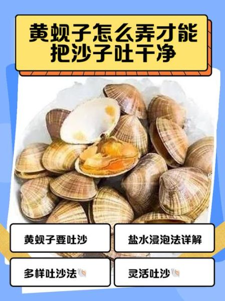 蚬子肉怎么清洗_蚬子肉去沙最快方法-第1张图片-山城妙识 蚬子肉怎么清洗_蚬子肉去沙最快方法-第1张图片-山城妙识