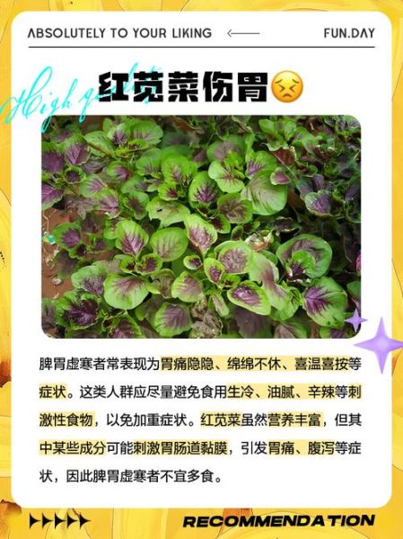 孕妇可以吃红苋菜吗_红苋菜孕妇能吃吗-第1张图片-山城妙识
