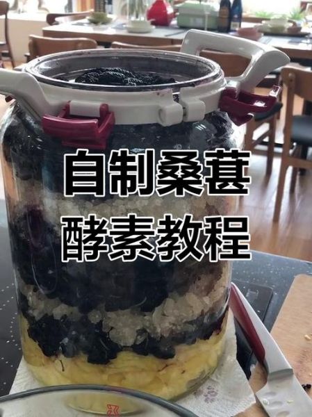 自制酵素用什么水果最好_酵素发酵失败怎么办-第1张图片-山城妙识