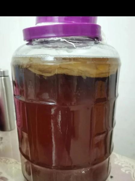 红茶菌的功效与作用及食用方法_怎么喝才有效-第3张图片-山城妙识 红茶菌的功效与作用及食用方法_怎么喝才有效-第3张图片-山城妙识