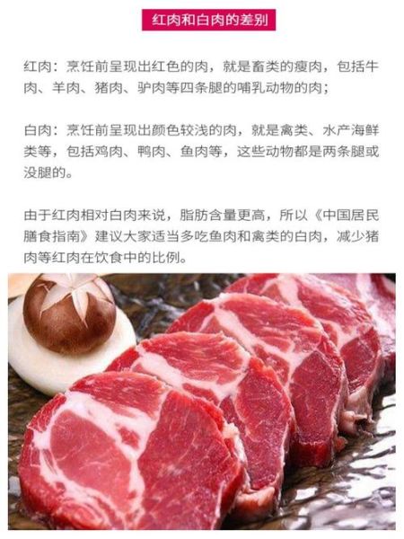白肉有哪些_白肉和红肉的区别-第3张图片-山城妙识
