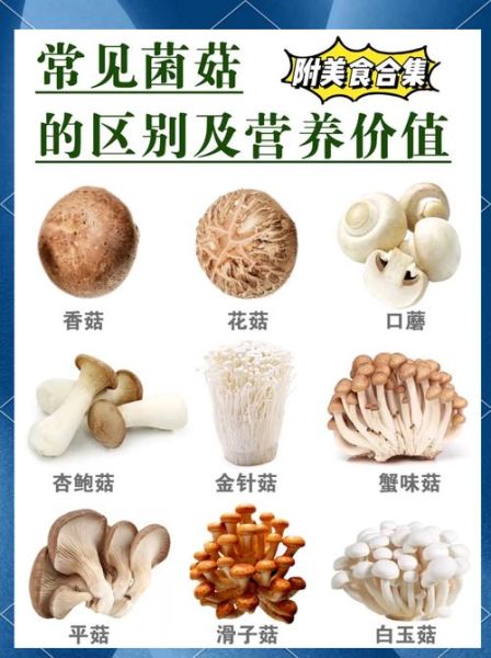 菌菇有哪些种类_菌菇营养价值排行榜-第1张图片-山城妙识 菌菇有哪些种类_菌菇营养价值排行榜-第1张图片-山城妙识