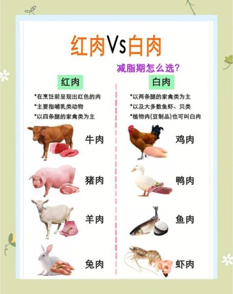 白肉有哪些_白肉和红肉的区别-第1张图片-山城妙识