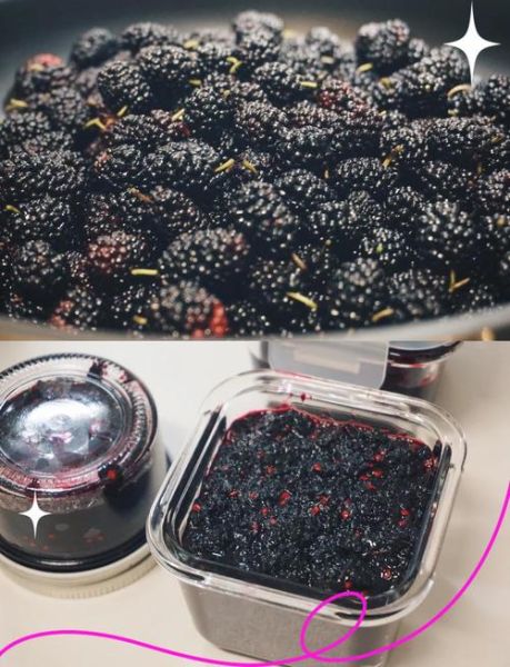 桑葚酱怎么做_桑葚酱不加水能熬吗-第2张图片-山城妙识