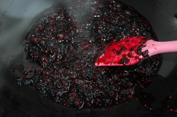 桑葚酱怎么做_桑葚酱不加水能熬吗-第3张图片-山城妙识