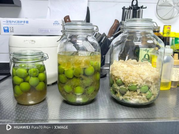 自制青梅酒的危害_青梅酒中毒症状-第2张图片-山城妙识